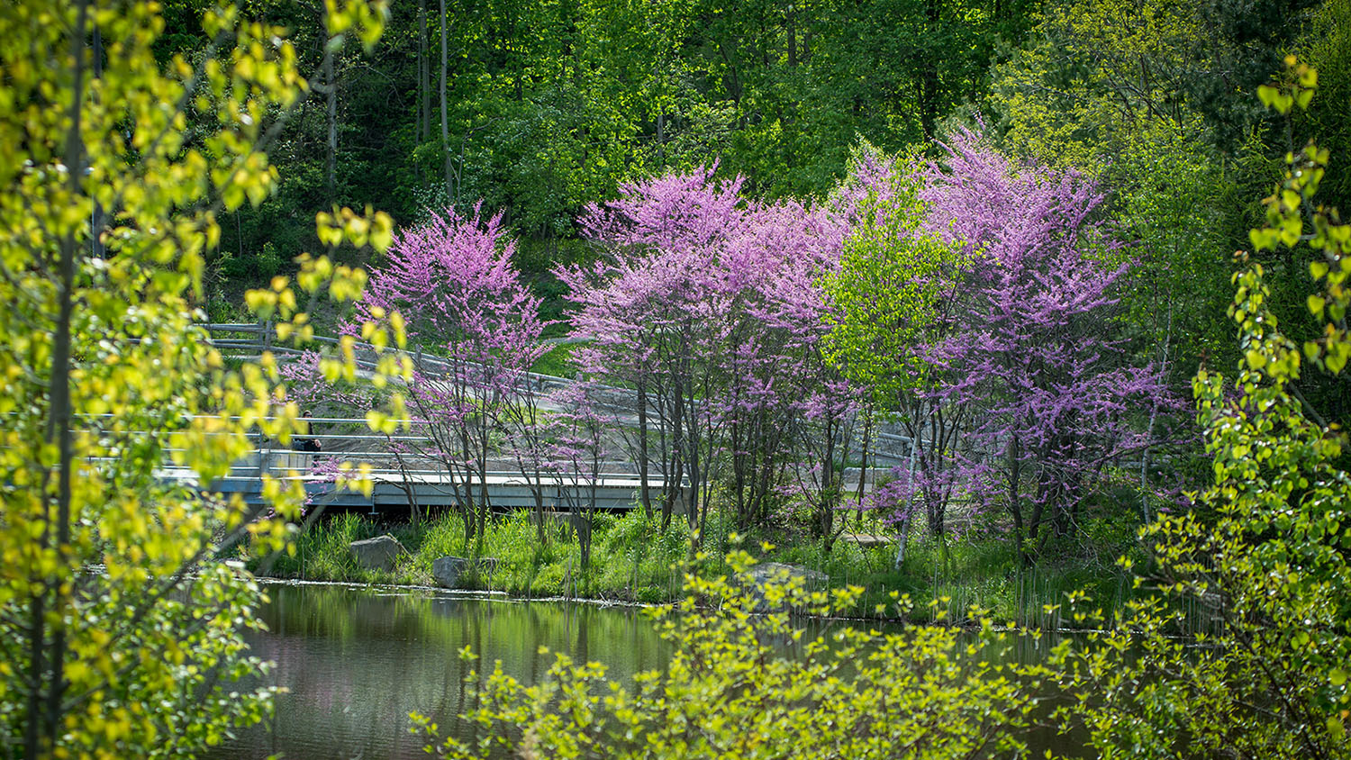 Toronto Ravine Strategy - Carte canadienne des édifices et des lieux primés